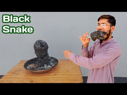 "Black Snake Firework Crazy Experiment Bablu SKP #funny#diy