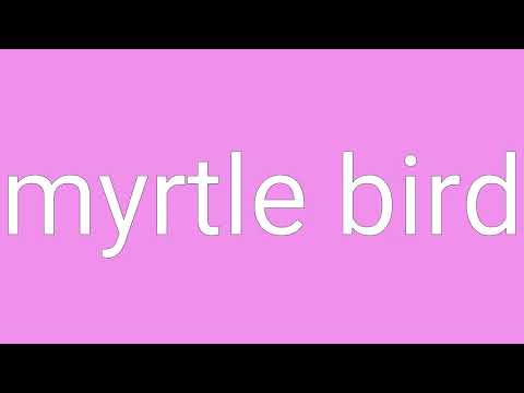 Myrtle Bird Definition & Meaning