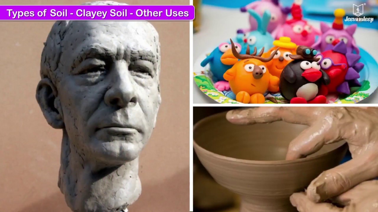 Soil | Science for Kids | Grade 3 | Periwinkle