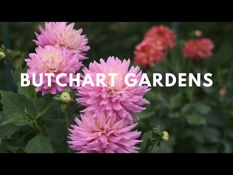 Butchart Gardens