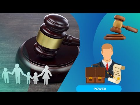 Family Lawyer Career: Guardian of Hearts in the Legal Arena