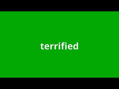 what is the meaning of terrified.