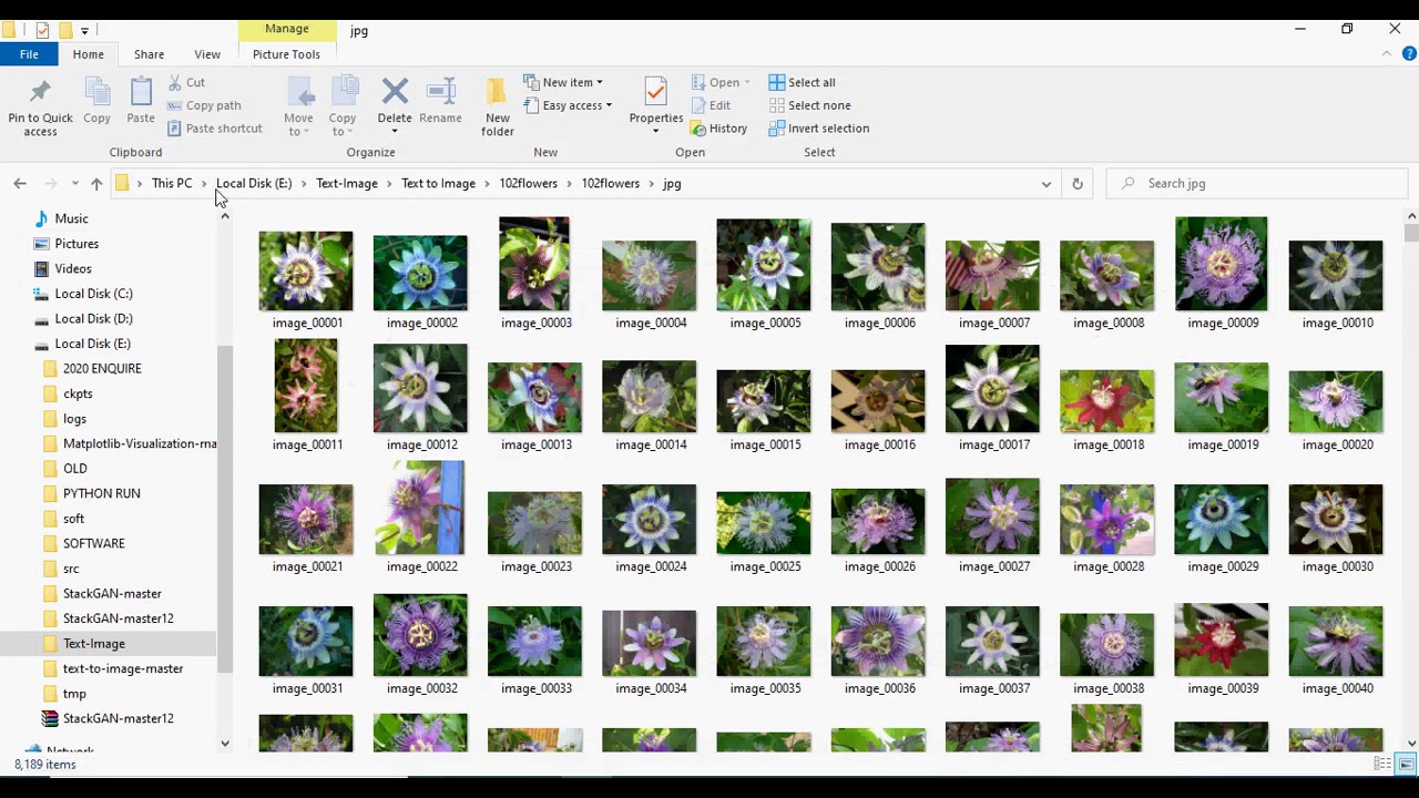 Text to Image Synthesis in Python - OKOK PROJECTS- Final Year Projects ...