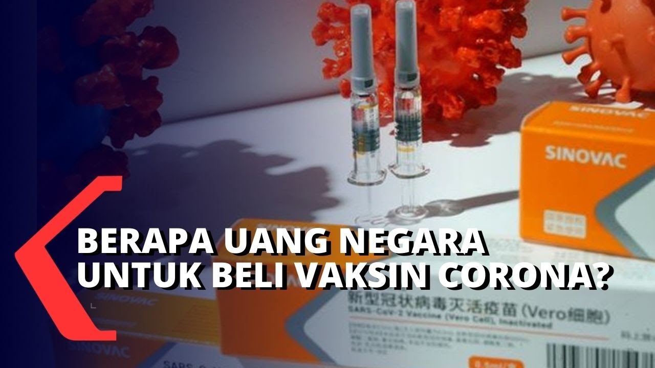 Vaksin Sinovac sampai di Indonesia, Berapa Uang Negara yang Dipakai?