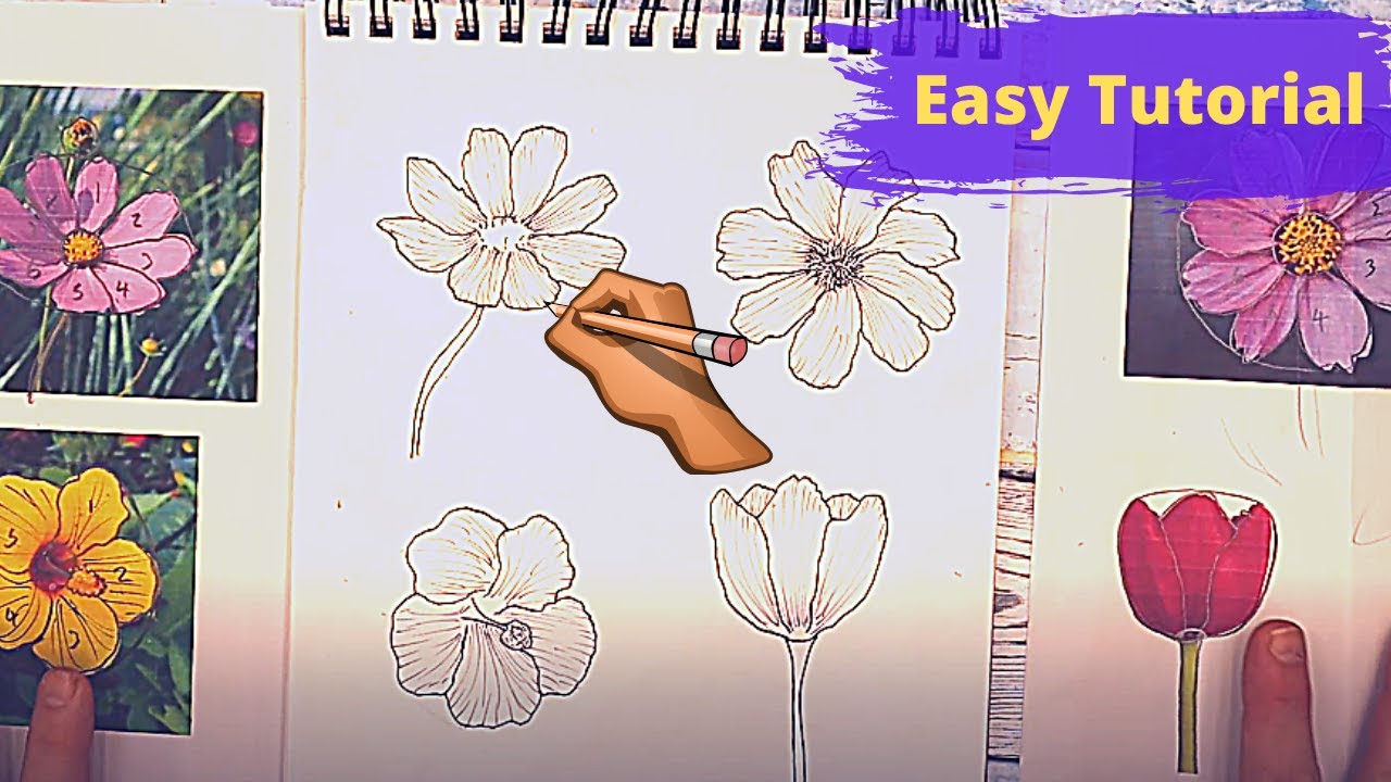 How to Draw Flowers From A Reference Picture.