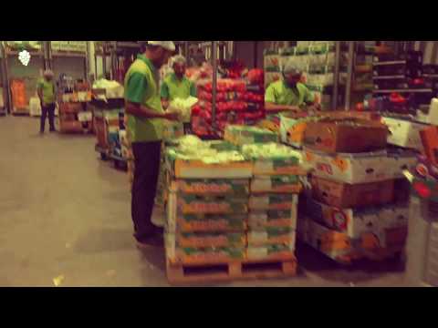 Mannequin Challenge Production NRTC Dubai