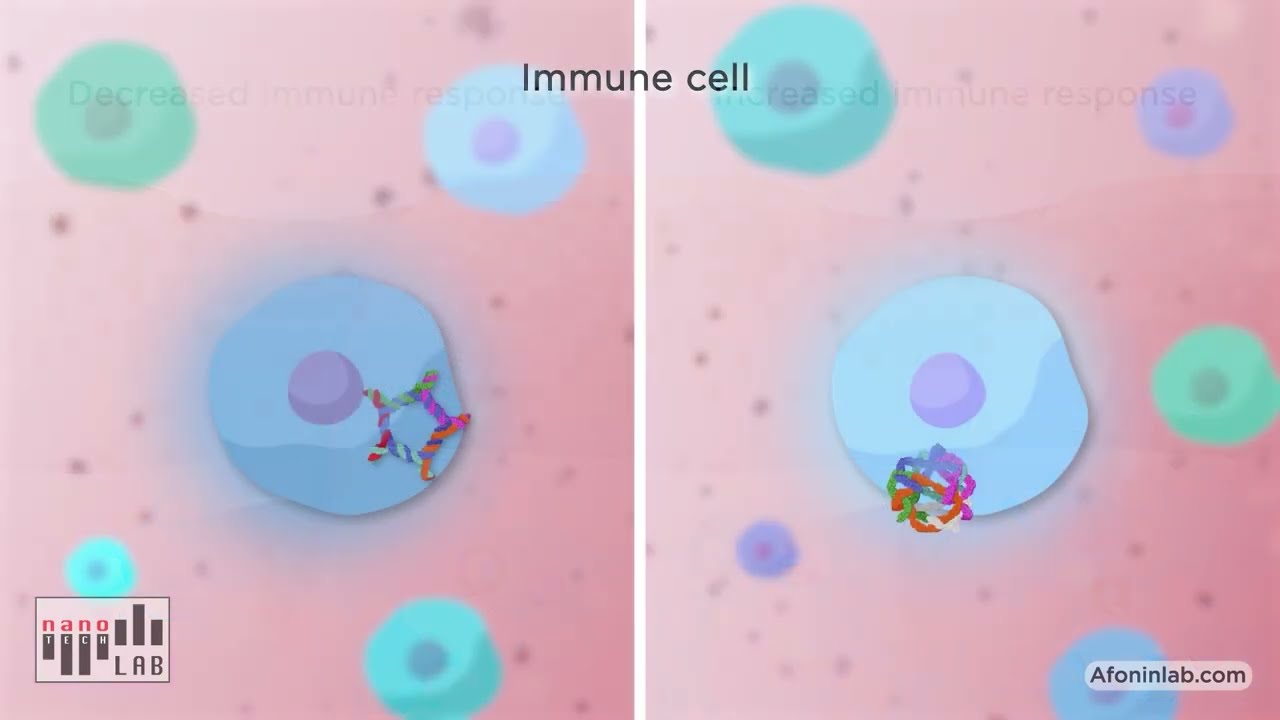 How does the Alexander Technique work? Towards a scientific model ...
