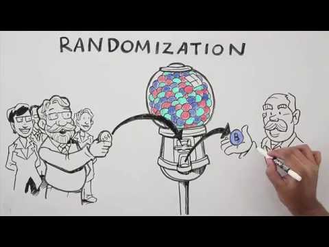 RoMP Ethics Study Full Video