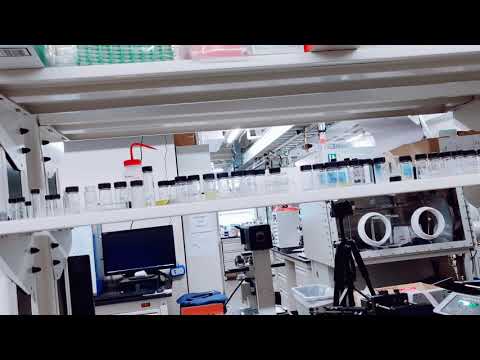 Soft Biomatter Lab tour