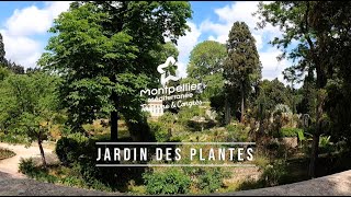 3 Best Places To Visit in Montpellier, France - Expert Recommendations