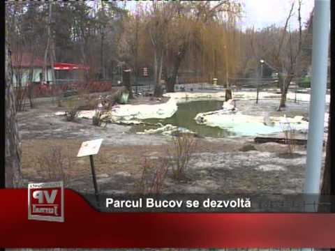 Actualitate: Parcul Bucov se dezvoltă