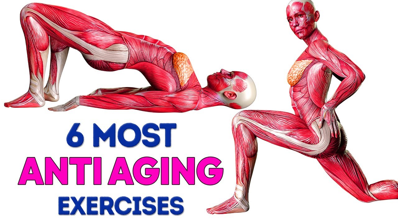 6 MOST ANTI AGING EXERCISES FOR WOMEN | SCIENCE BACKED
