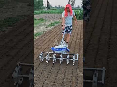 Amazing Manual Seeds Planter #shorts #Seeds #planter #seedsplanter #agriculture #farming #machinery