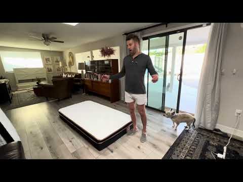 FP Flexpedic Queen Mattress, 14 Inch Plush Hybrid Mattress with Gel Memory Foam, Fiberglass-Free