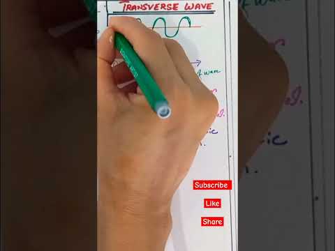 Transverse wave | Crest | Trough #physics #class11 #waves