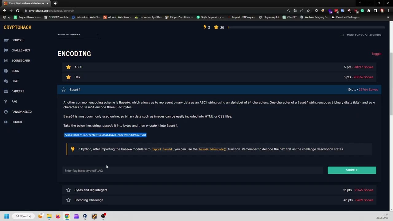 CryptoHack #004 - Base64