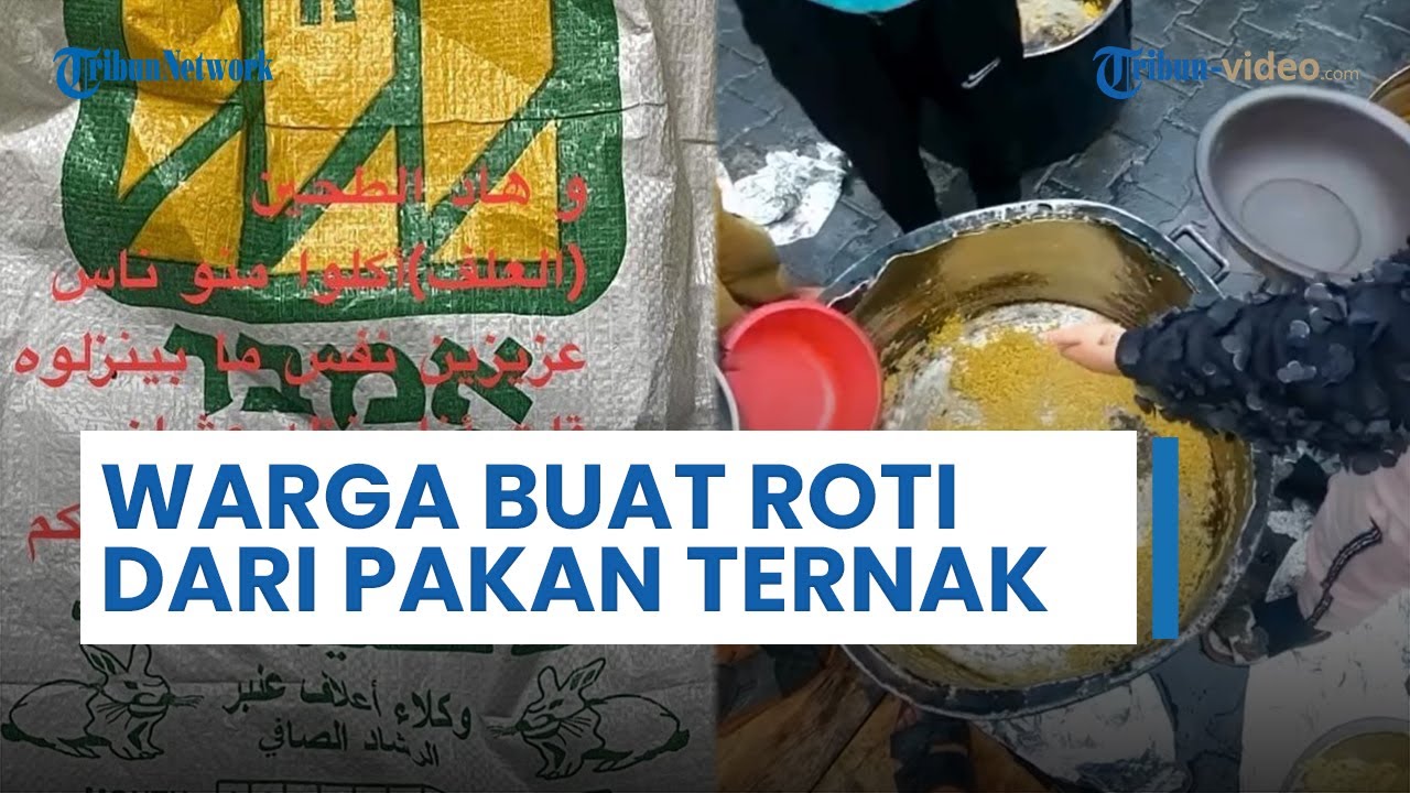 Gaza Dilanda Kelaparan, Buat Roti dari Pakan Ternak, Israel Malah Beri ...