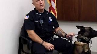 Investigation Officer Overview | What is an investigation officer? - Zippia