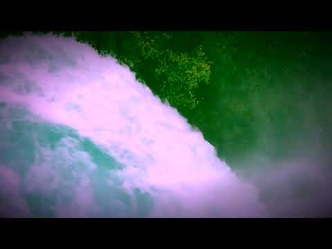 Aqua - Filming of Mickey Mousing Music