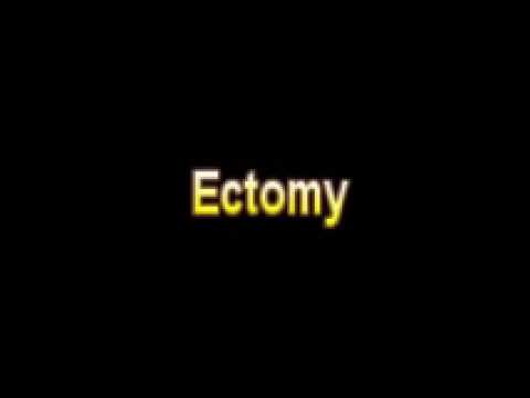 What Is The Definition Of Ectomy - Medical Dictionary Free Online