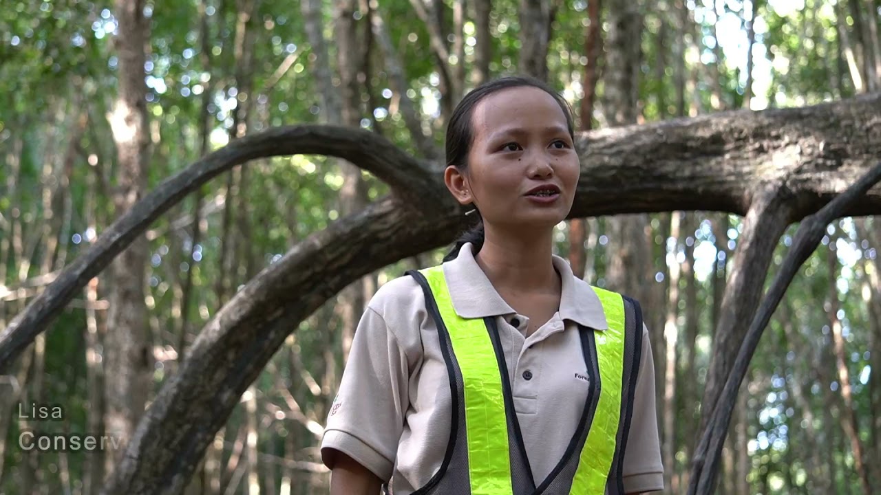 Compliance & Conservation at Forest Solutions