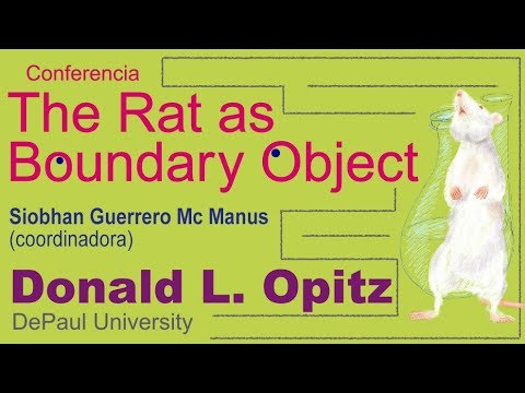The Rat as Boundary Object