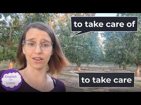 Idioms - to take care of and to take care