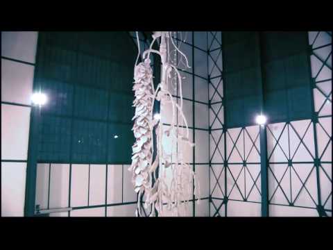 Siphonophora. Música electroacústica y arte sonoro