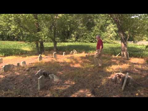 Finding Your Roots - Genealogy