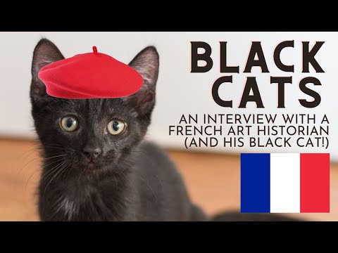 Black Cats in French Art & History - Interesting Interview in Paris!