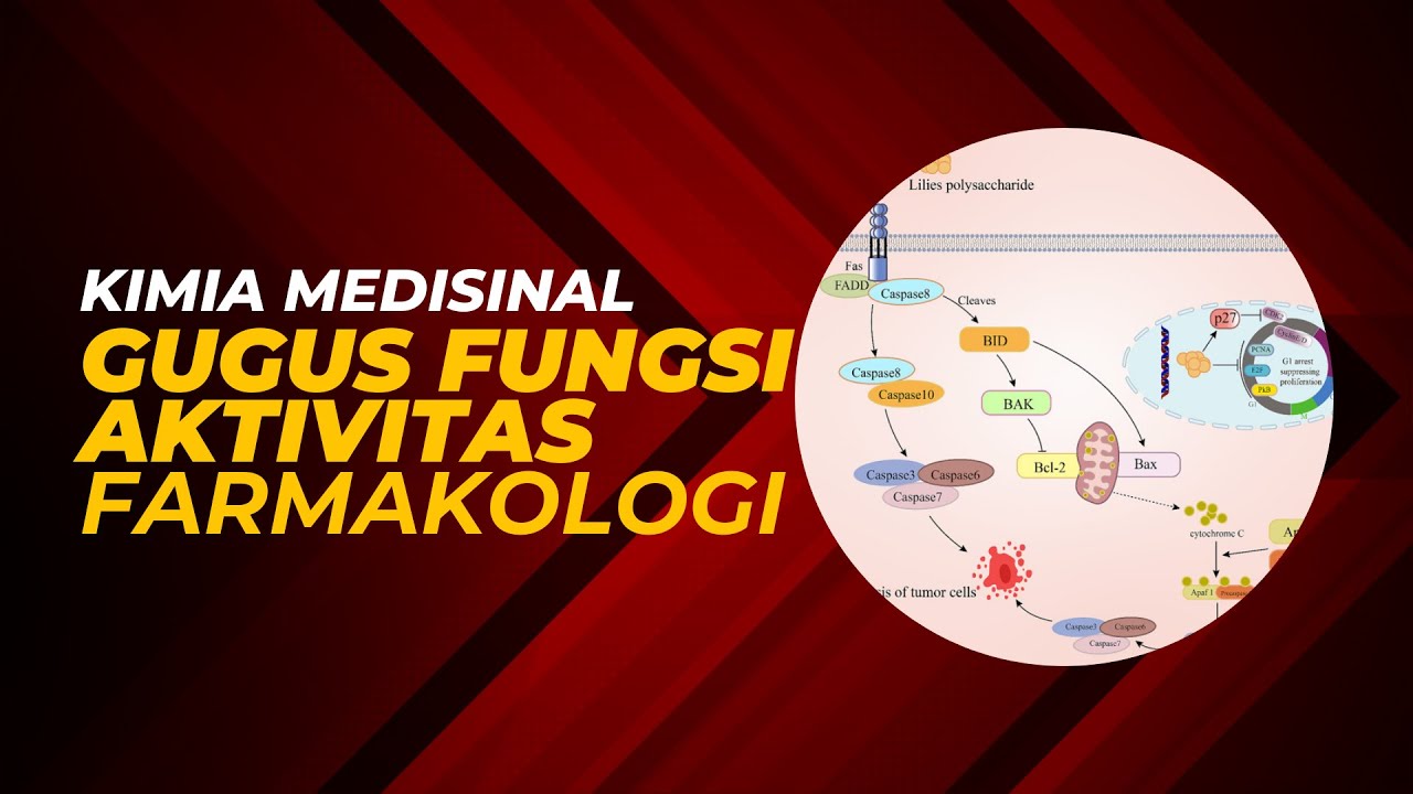 Medicinal Chemistry - Relationship between Functional Groups and Pharmacological Activity
