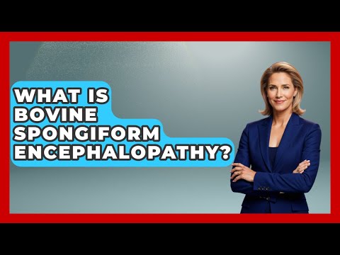 What Is Bovine Spongiform Encephalopathy? - The World of Agriculture