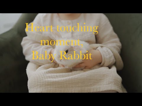cute baby with cute rabbit#without you music#shorts vedio#Ali S Shorts#Subscribe the channel
