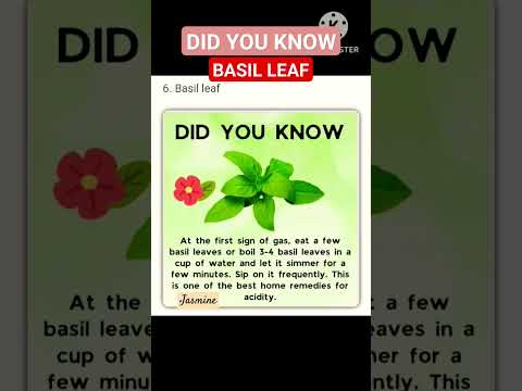 Did you know? Basil leaf #Shorts