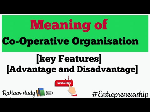 Meaning of Co-oporative Organisation || Advantage or Disadvantage || hindi /english