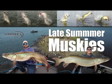 Late Summer Muskies
