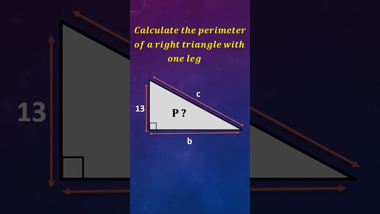 Can you find the Perimeter of a Right Triangle with one leg