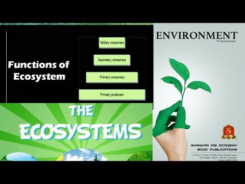 Functions of An Ecosystem Video Lecture - BPSC (Bihar)