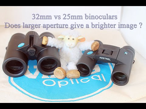Binoculars. Does larger aperture give a brighter image ?