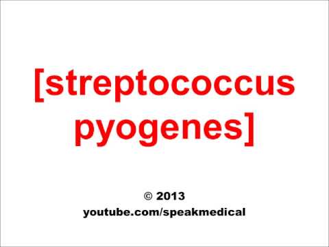 Pronounce Streptococcus Pyogenes | SpeakMedical