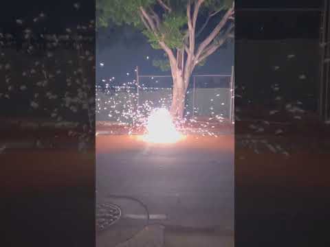 Palomita Firecracker 🇲🇽🧨💯 #shortsfeed #fireworkdemo #mexicansalutes
