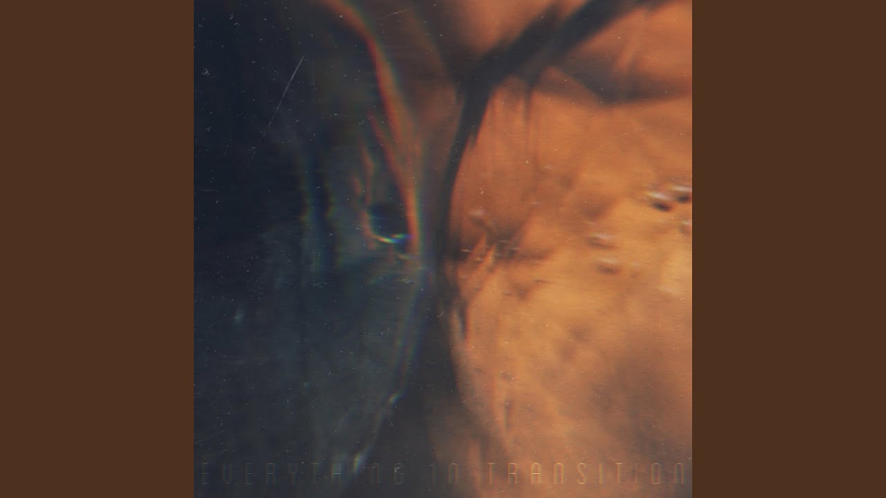 Everything in Transition