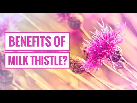 4 Potential Benefits of Milk Thistle