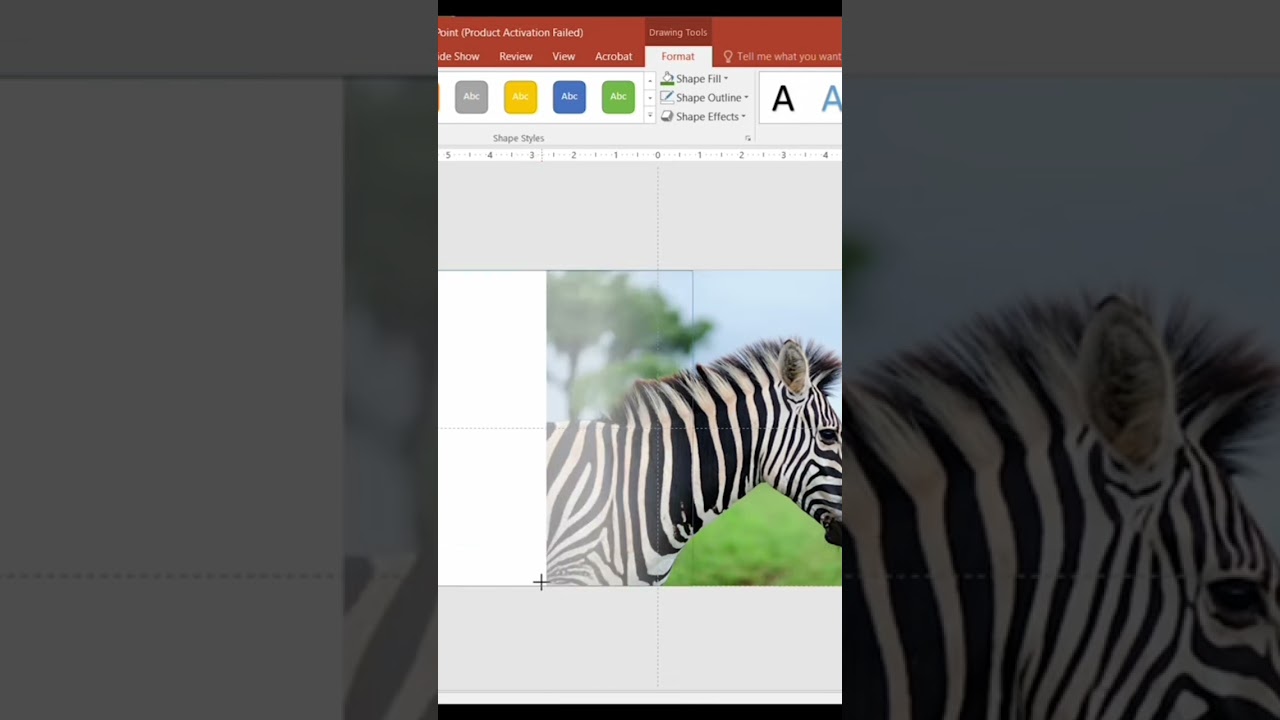 How to Apply a Gradient Effect to an Image in PowerPoint | Quick Reel