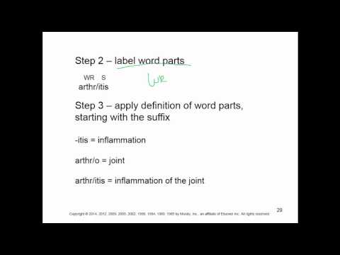 Analyze and define medical terms and build medical terms from given definitions