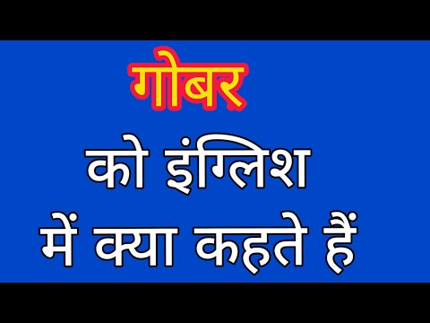 Gobar ko english mein kya kahate hain | गोबर को इंग्लिश में क्या कहते हैं | cowdung meaning in hindi