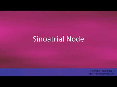 Pronunciation of the word(s) "Sinoatrial Node".