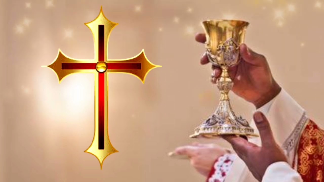 Free background video HD no copyright/ Celebration of Holy Mass video no copyright