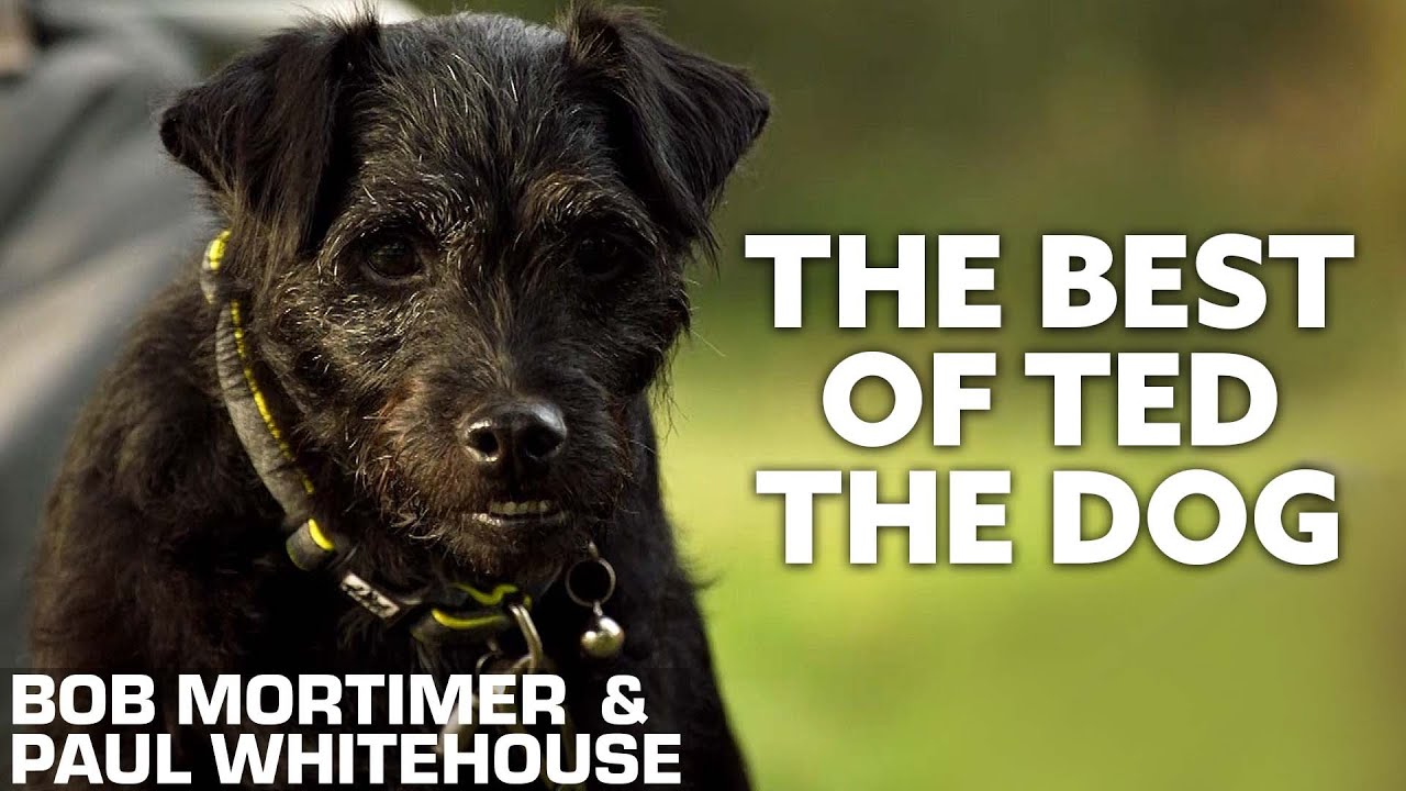 The Best of Ted The Dog | Gone Fishing | Bob Mortimer & Paul Whitehouse