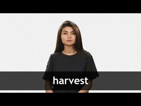 HARVEST definition and meaning | Collins English Dictionary